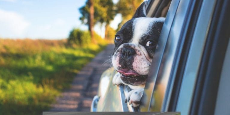 When Did Cars Stop Having Crank Windows: The Evolution of Car Window ...