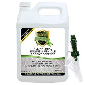 Rat Protection for Car: Ultimate Guide to Rodent Repellent Solutions