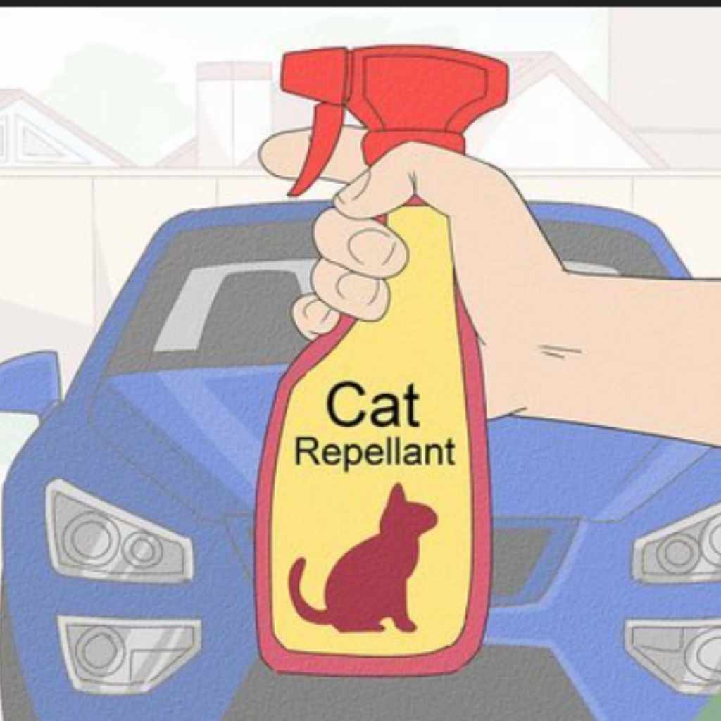 How to Fix Cat Scratches on Your Car