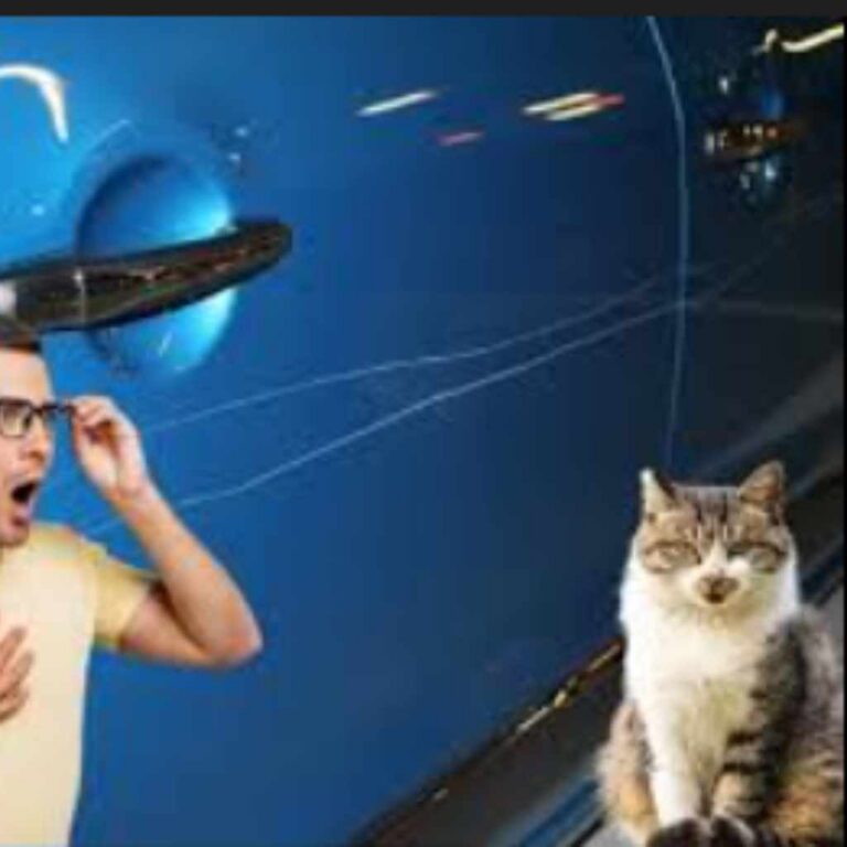 How to Fix Cat Scratches on Your Car